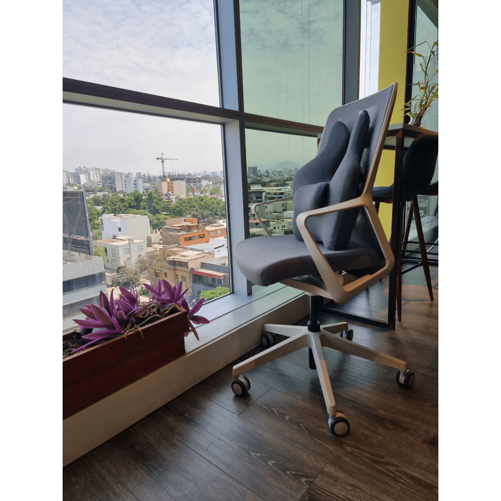 Pack de Espaldar Premium B2 PRO y Asiento Anatómico Deluxe S10 Rosado ...