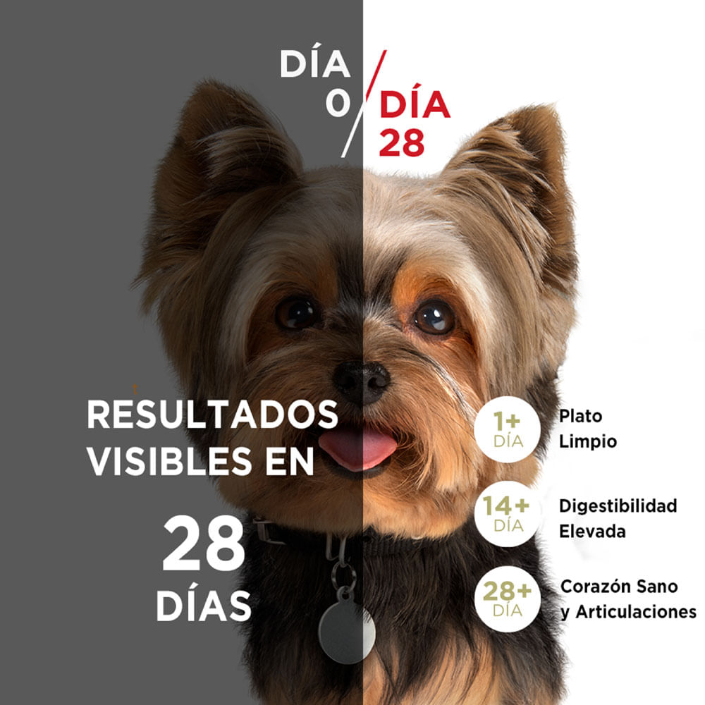 Comida para Perros PURINA ONE Adulto Razas Pequeñas Pollo Carne Bolsa ...