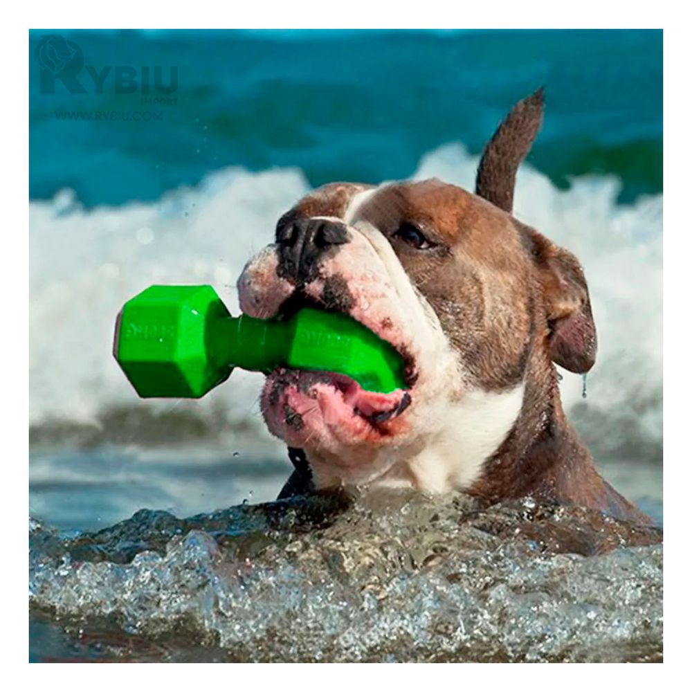 Pesas para Perro Marca Lion Verde M | plazaVea - Supermercado