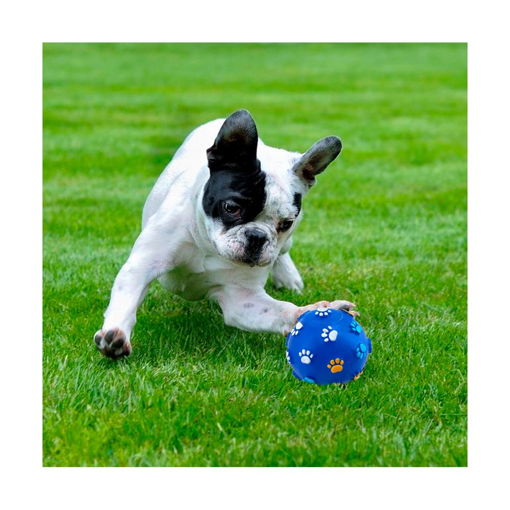Pelota Color Azul con Huellitas Talla M | plazaVea - Supermercado