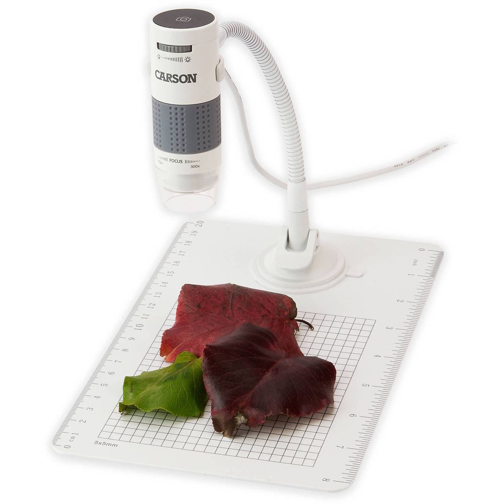 Microscopio Digital Carson Mm 840 Eflex Blanco | plazaVea - plazaVea