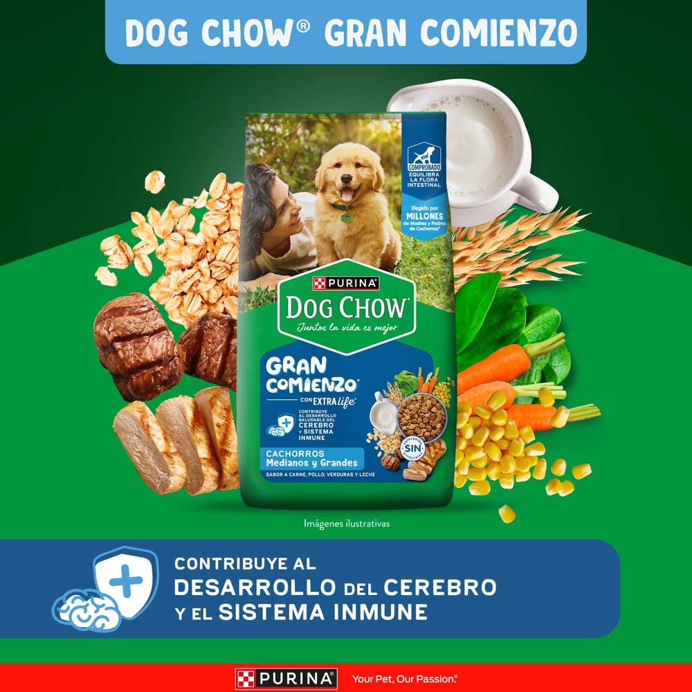 Comida para Perros DOG CHOW Gran Comienzo Cachorros Medianos y Grandes ...