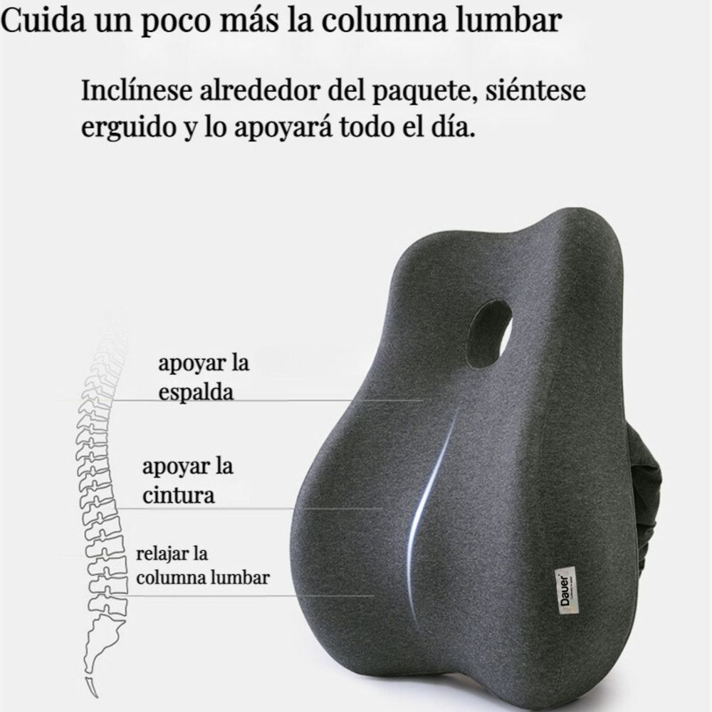 Cojin Lumbar 3D Ergonomico Respaldo de Espalda Curva Anatomico ...