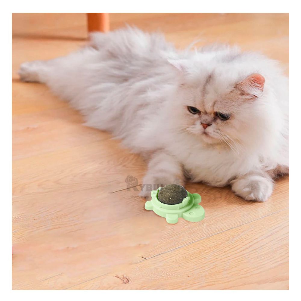 Accesorio Perfecto para Felino en Verde Y+Post-it adhesivos | plazaVea ...