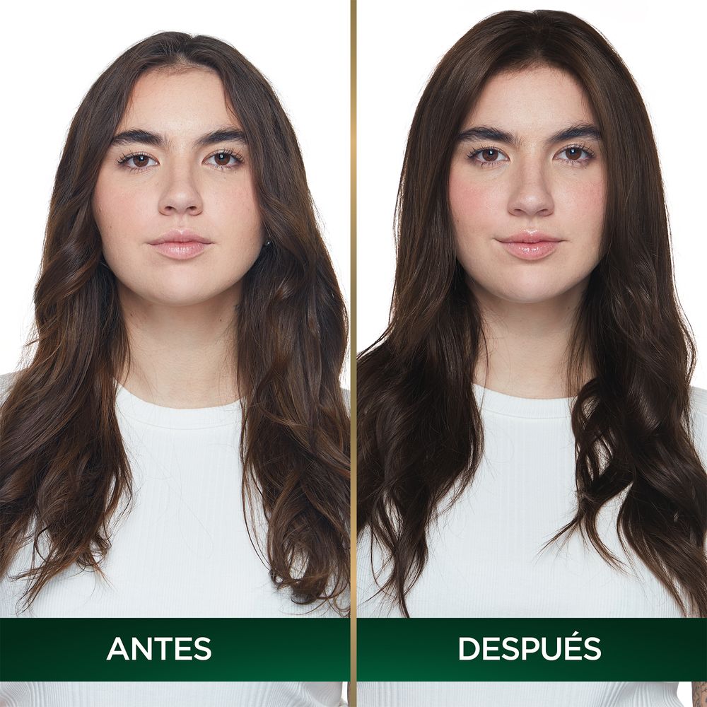 Tinte Capilar Garnier NUTRISSE Oleos 5.0 Castaño Claro Caja 1un ...