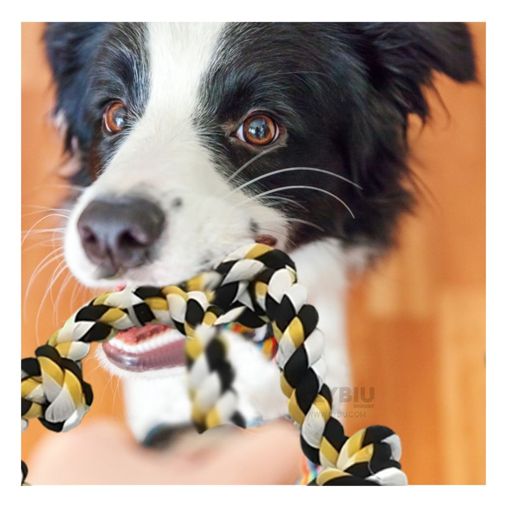 Soga para Perros con Cuerdas Color Marron Y+Papel de Regalo | plazaVea ...