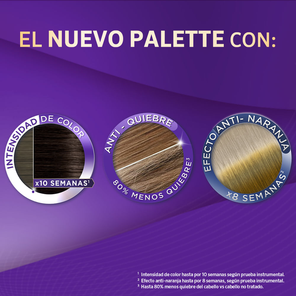 Tinte para Mujer PALETTE 6-60 Caja 1un | plazaVea - Makro