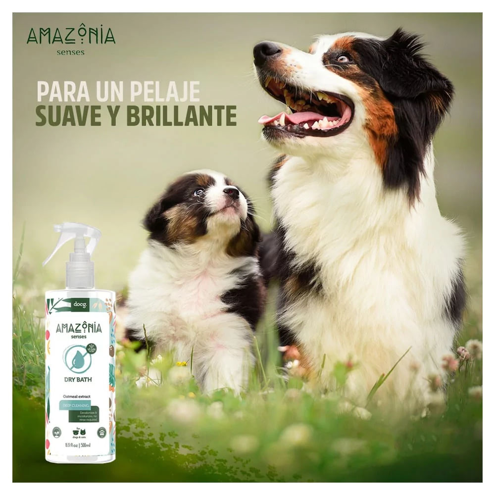 Shampoo para Baño Seco Perros y Gatos Amazonia Senses 500ml | plazaVea ...