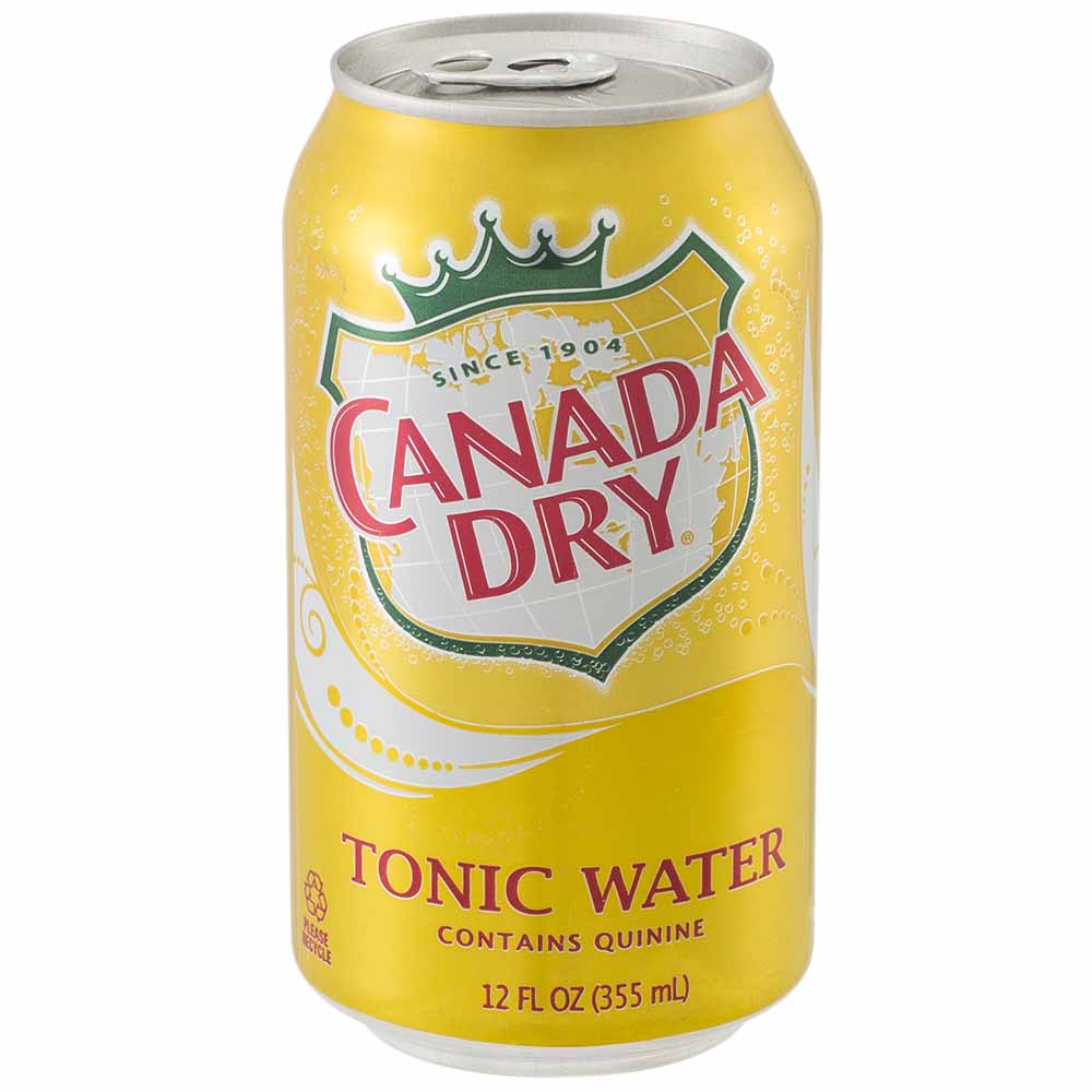Agua Tónica CANADA DRY Lata 355ml | plazaVea - Supermercado